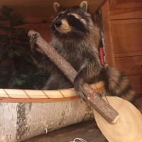 The Overprotected Kid – The Atlantic | Grafedie in the Library